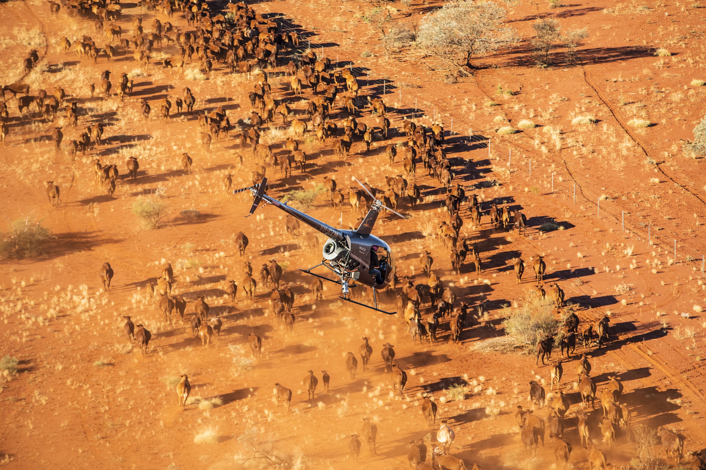 Contact – Fortescue Helicopters